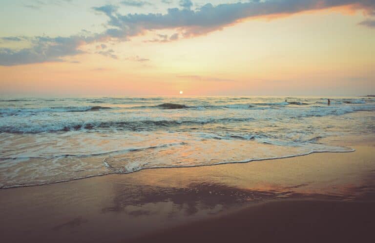 The Ultimate Guide To The Best Hikes In Virginia Beach: Explore Nature ...