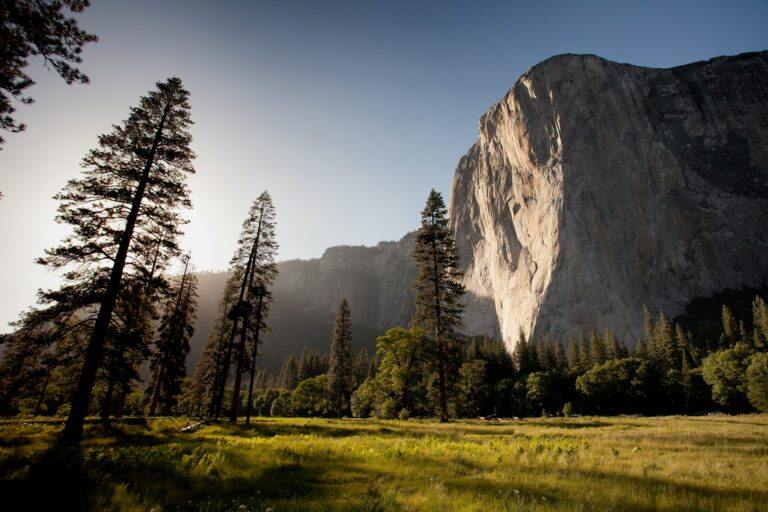 Complete National Parks Road Trip Planning Guide